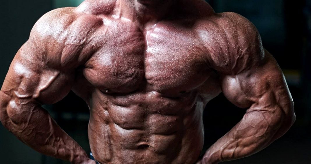 The 26 Year Old Bodybuilder With Muscle Maturity Beyond His Years ...