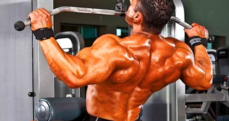 The Ultimate Guide to a Ripped Back | MuscleChemistry