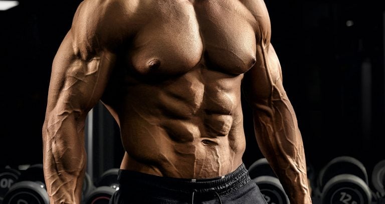 What are the 3 Types of Muscle? – Examples and Muscle Anatomy 101 for ...