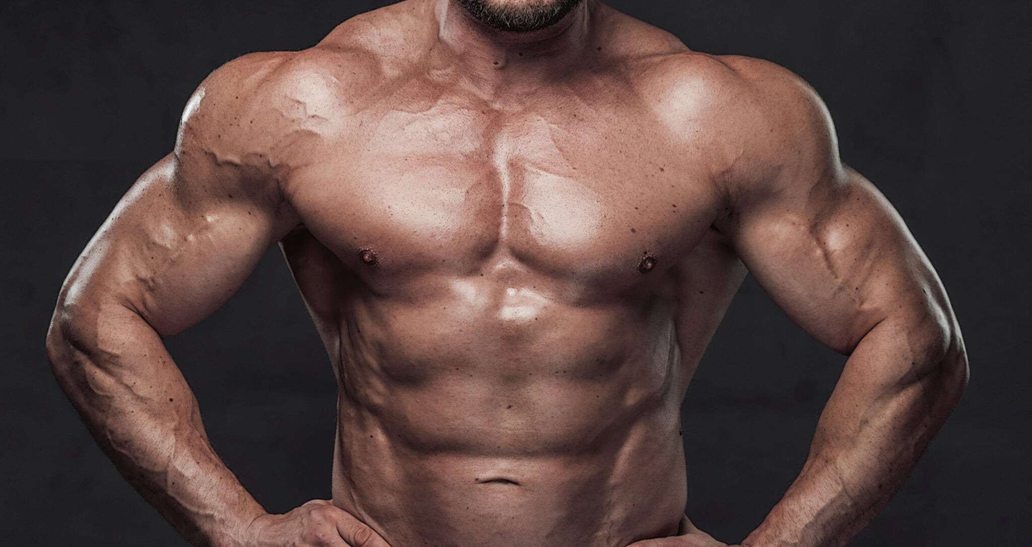 Biggest Bodybuilder of All Time