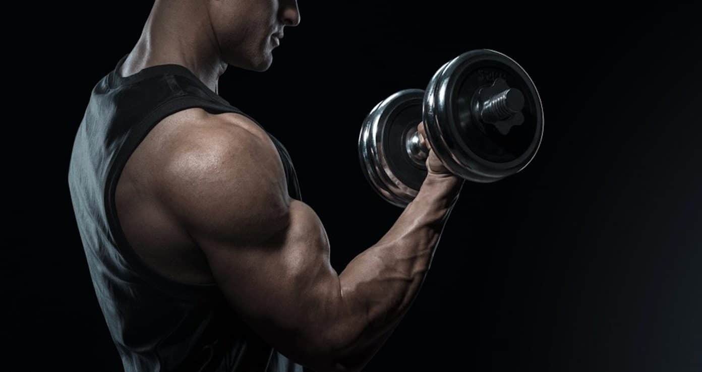 The 9 Best Biceps Exercises for Bulging Biceps - Generation Iron ...