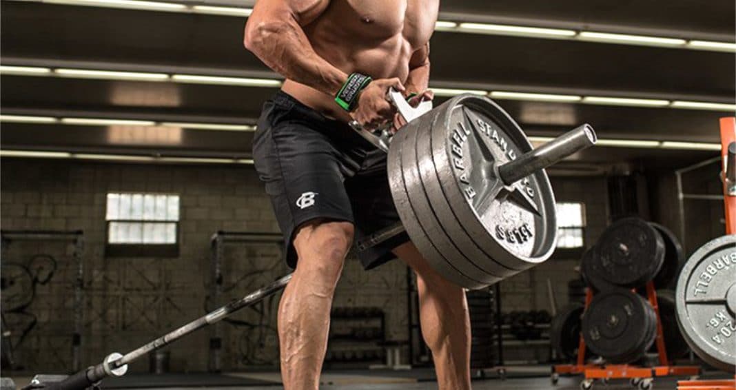 T-Bar Row Your Way To A Cobra Back: How-To, Muscles Worked