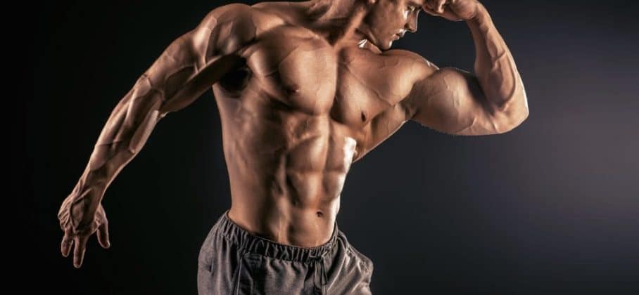 Long Bicep Vs. Short Bicep: How Do They Impact Your Arm Size ...