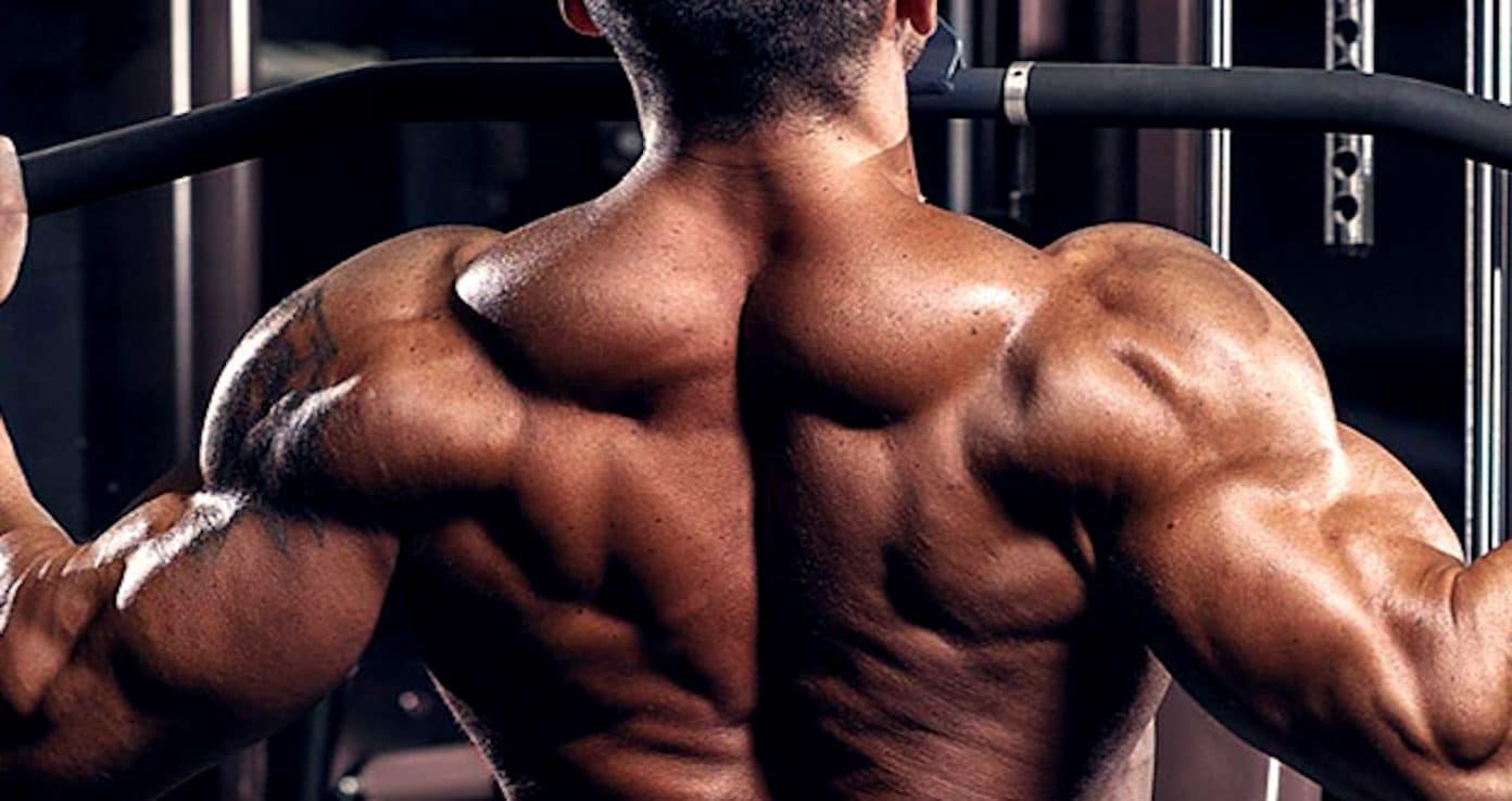 Machine High Row Exercise Guide — How To, Benefits, & Alternatives ...