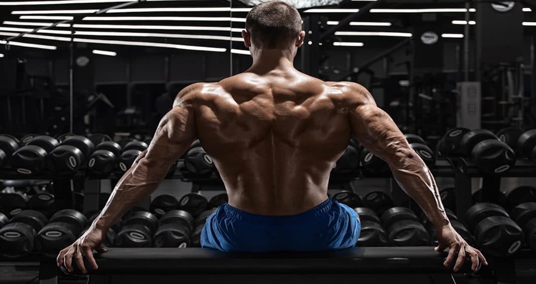 No-Equipment Back Exercises - Generation Iron Fitness & Strength Sports ...