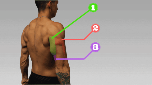 Three Heads, Better Than One: Hit The Different Parts Of The Tricep