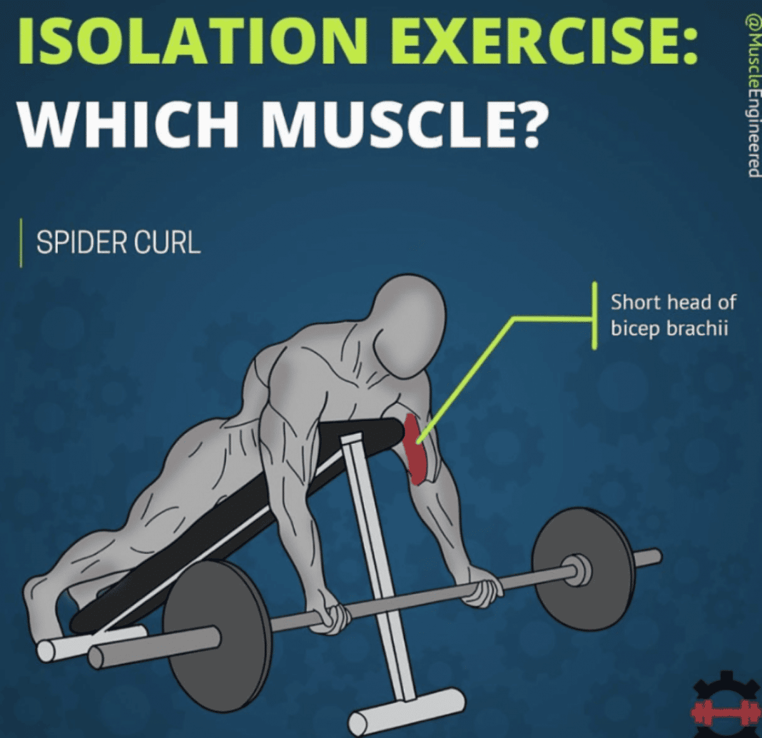 4 Bicep Curl Variations For a Serious Pump