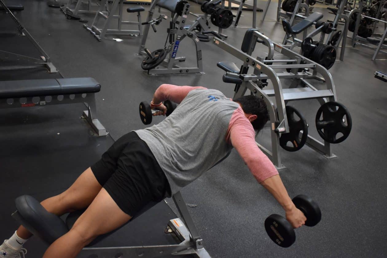 The Dumbbell Rear Delt Fly: How to and Exercise Guide